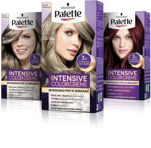 Palette | SANOZ DE VENEZUELA